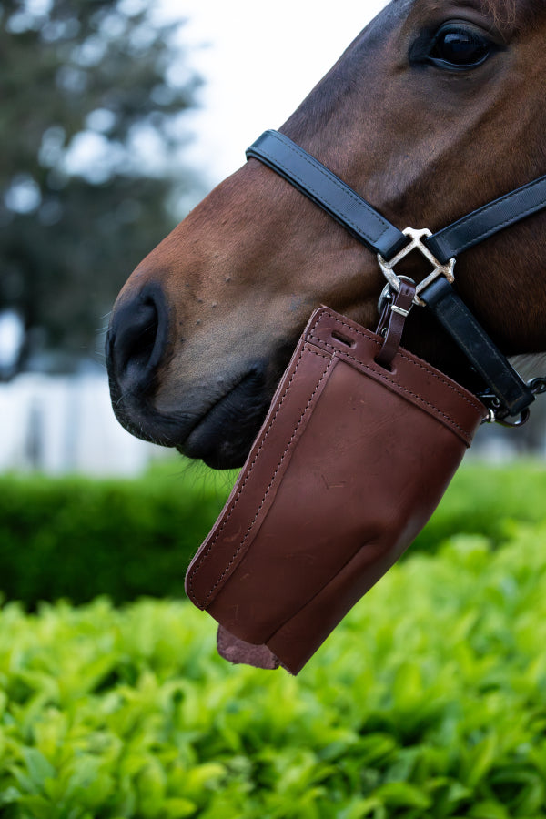 Leather biting bib - Edwards Saddleworld Toowoomba