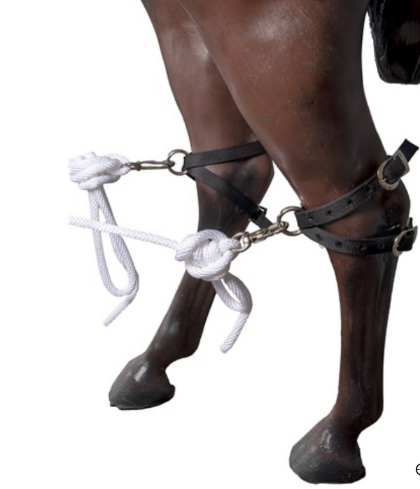 Nylon Breeding Hobbles - Edwards Saddleworld Toowoomba