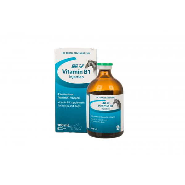 NV Vitamin B1 Injection 100ml - Edwards Saddleworld Toowoomba
